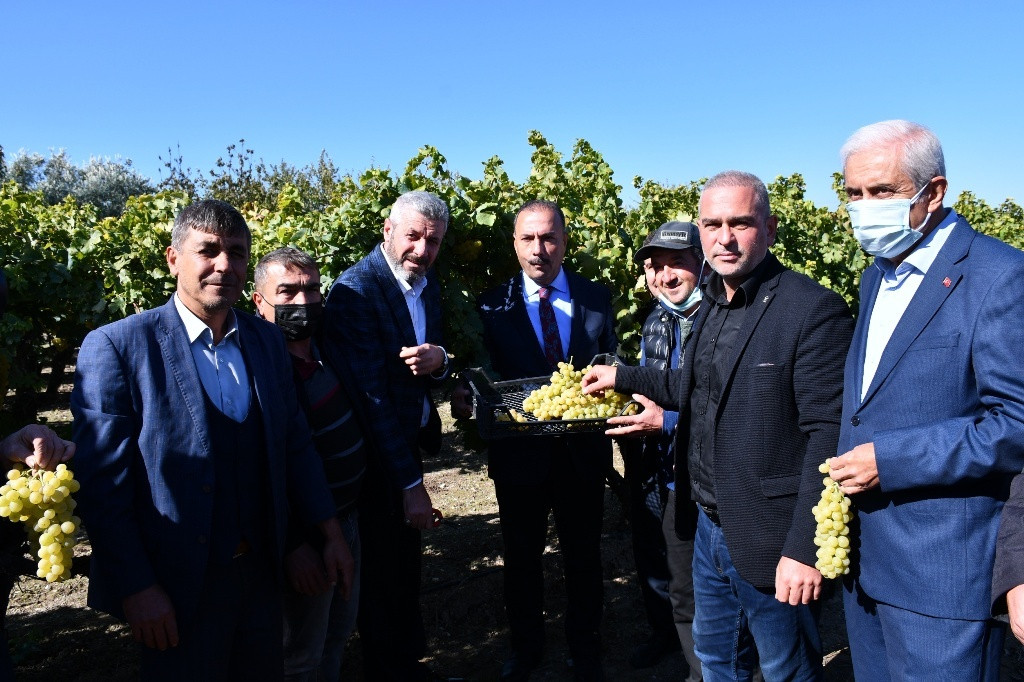 İZNİK’İN TESCİLLİ ÜRÜNÜNDE HASAT ZAMANI